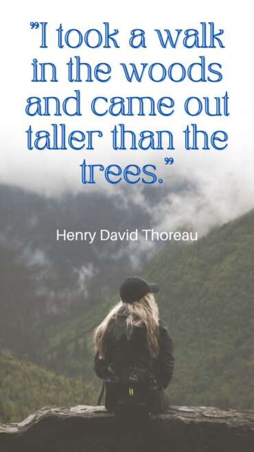 Hiking Quotes: 40 Inspirational Quotes for Hikers | Travel Blissful
