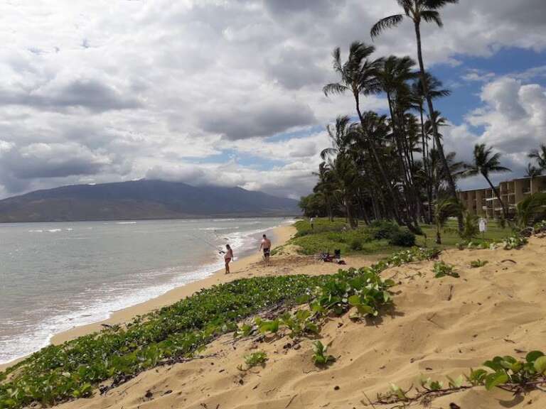 Discovering the Hidden Gem of Maui: Lipoa Street Beach